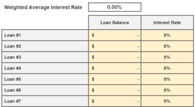 Student Loan Spreadsheet to Track Your Student Loans | Young Adult Money