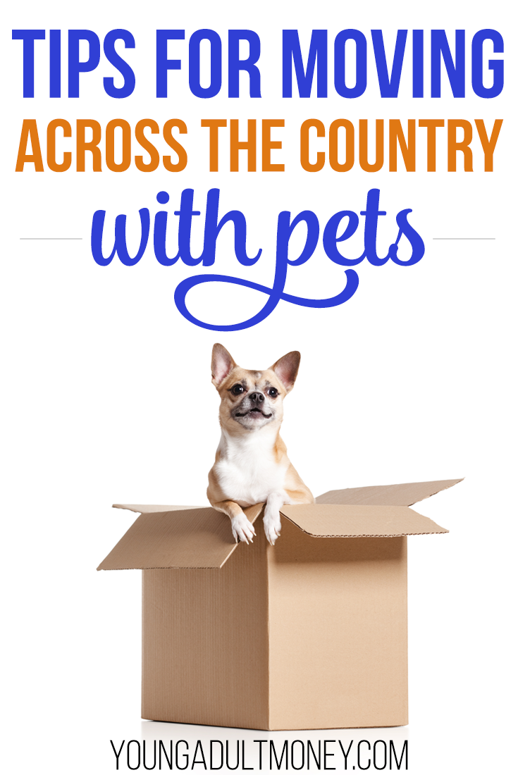 Tips for Moving Across the Country with Pets | Young Adult Money