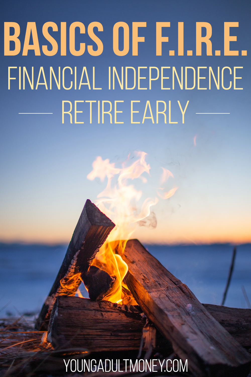 Basics of FIRE: Financial Independence Retire Early | Young Adult Money